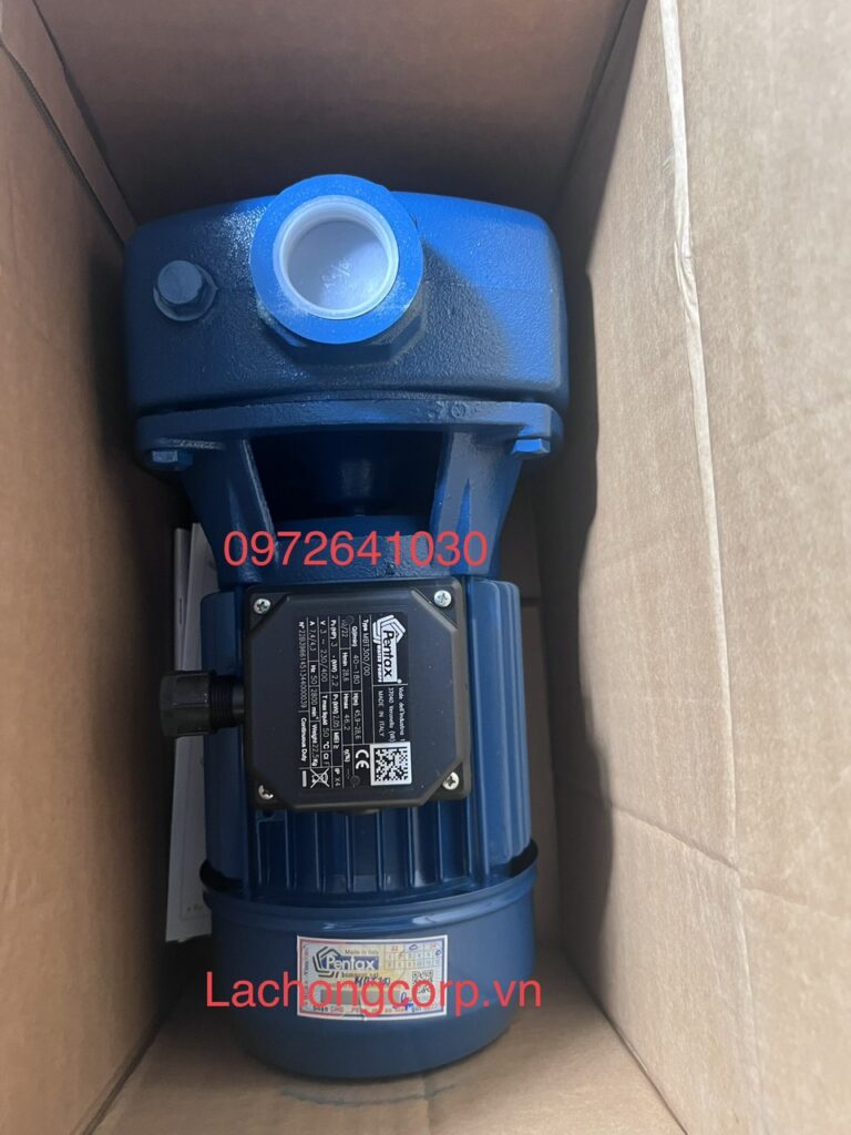 Máy bơm nước dân dụng Pentax MBT300 nhập khẩu Ý giá rẻ